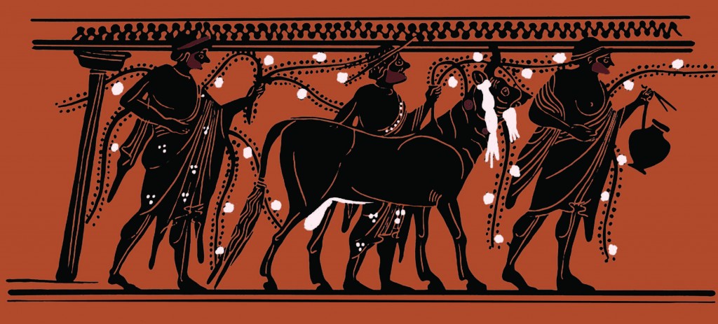 Archaeozoology | The Chora of Metaponto